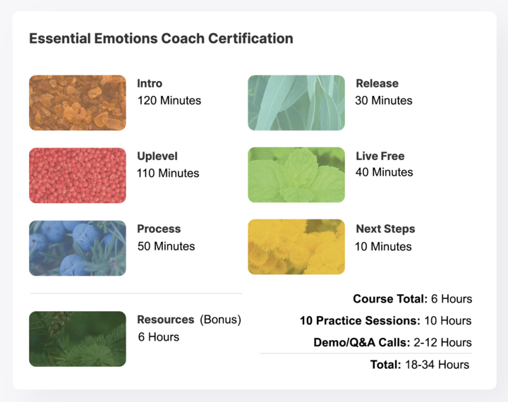 Essential Emotions Coaching FAQ - Essential Emotions