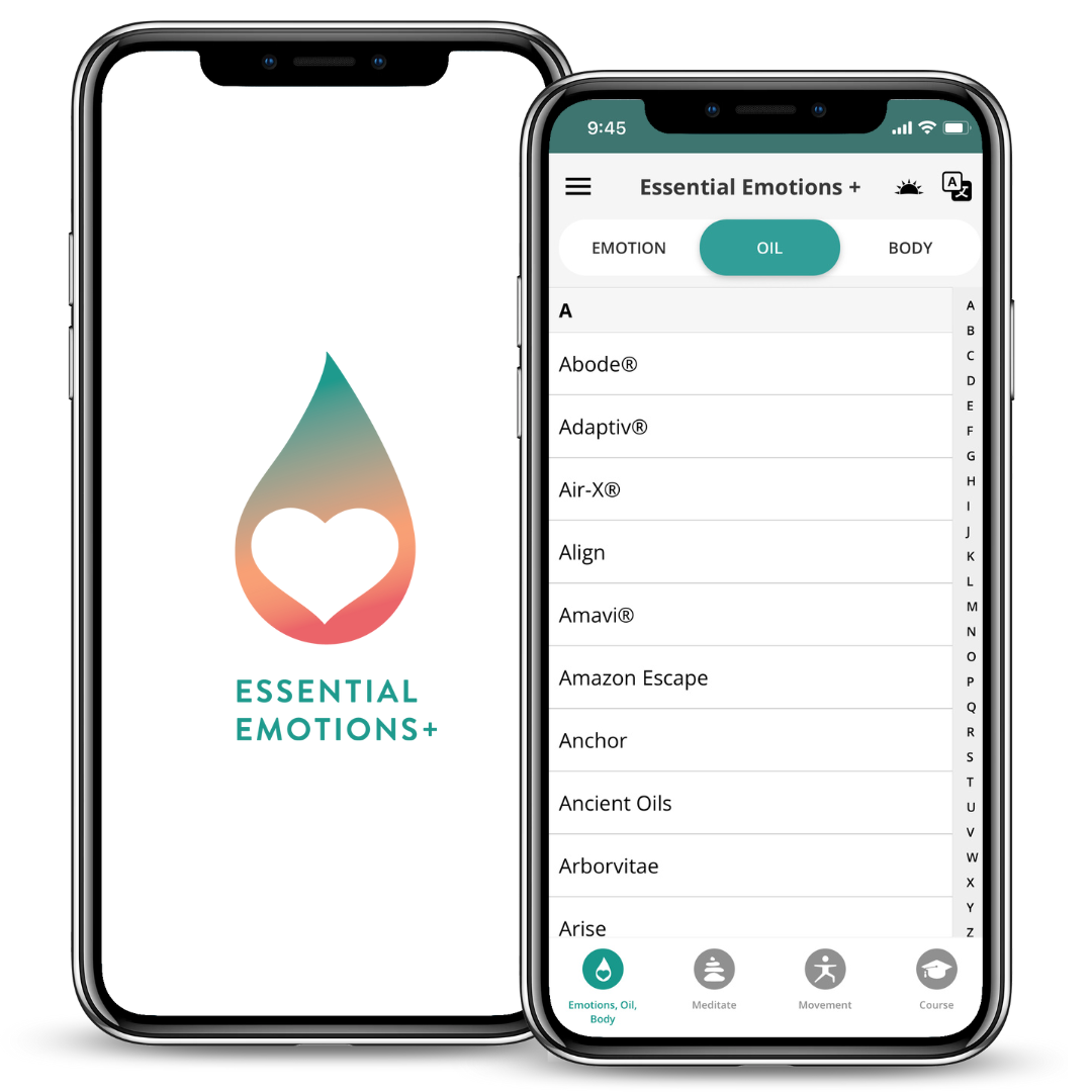 Breakthrough - Essential Emotions